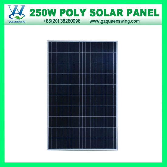250W Poly Solar Panel